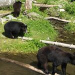 Sitka's only Private Simply Amazing Tour - What Travelers Say: Authentic Insights from Reviews