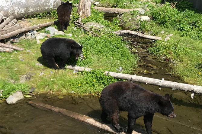 Sitka's only Private Simply Amazing Tour - What Travelers Say: Authentic Insights from Reviews