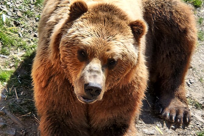 Sitka's only Private Simply Amazing Tour - Who Is This Tour Best For?