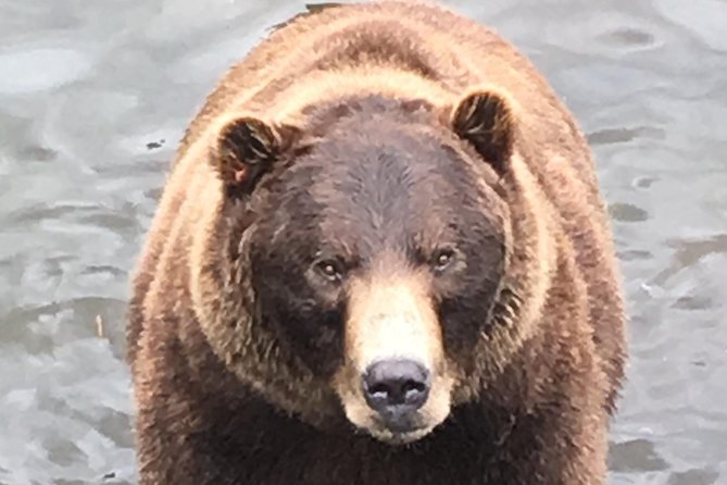 Sitka's only Private Simply Amazing Tour - The Sum Up