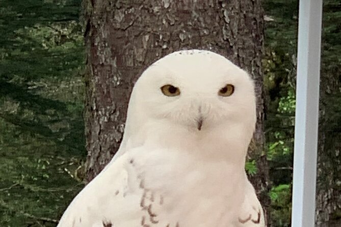 Sitka's only Private Simply Amazing Tour - Final Thoughts