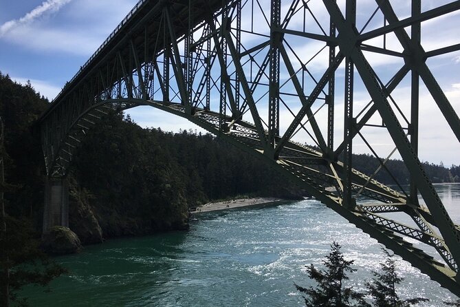 Skagit Valley Birding + Deception Pass Day Tour From Seattle - A Deep Dive into the Experience