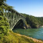 Skagit Valley Birding + Deception Pass Day Tour From Seattle - What Makes This Tour Valuable?