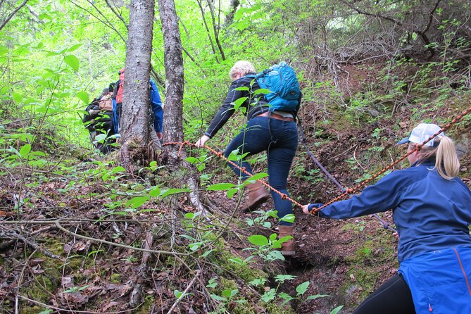 Skagway Adventure Hike - Skagway Adventure Hike: An Authentic Wilderness Escape