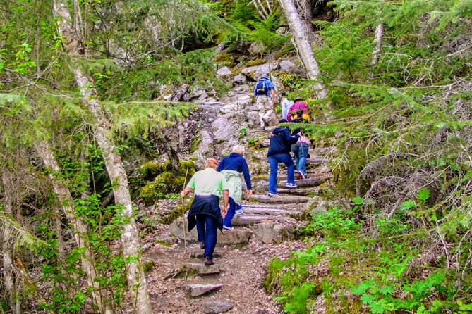 Skagway Shore Excursion Chilkoot Trail Hike and Float Tour - Key Points