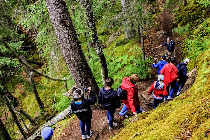 Skagway Shore Excursion Chilkoot Trail Hike and Float Tour - Who Should Consider This Tour?