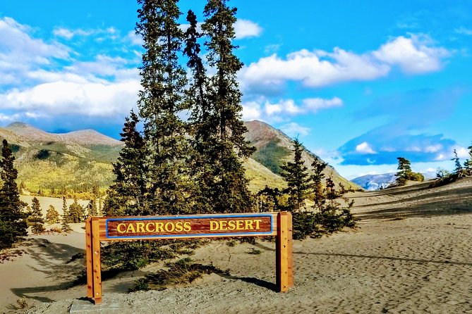 Skagway Shore Excursion: Full-Day Tour of the Yukon - The Itinerary in Detail