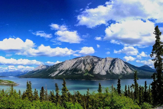 Skagway Shore Excursion: Full-Day Tour of the Yukon - Who Should Consider This Tour?