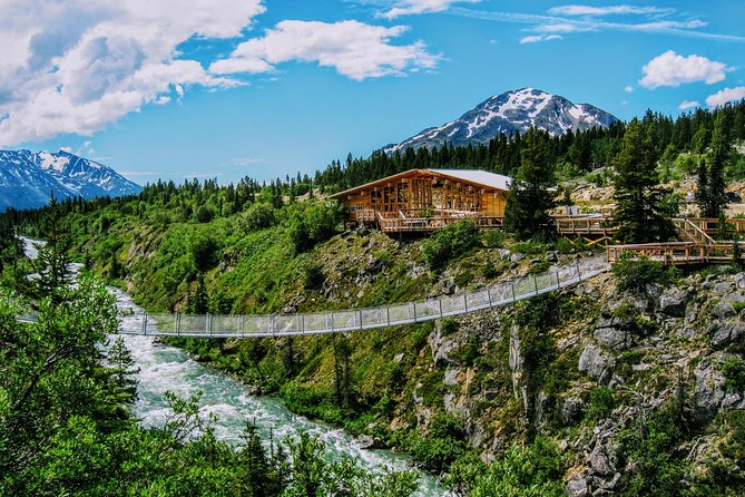 Skagway Shore Excursion: Half-Day Tour to the Yukon Border and Suspension Bridge - Who Is This Tour Best For?