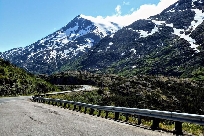 Skagway Shore Excursion: Half-Day Tour to the Yukon Border and Suspension Bridge - FAQ