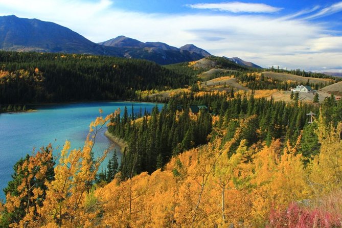 Skagway Shore Excursion: Yukon Dog Sledding and Sightseeing Tour - In The Sum Up