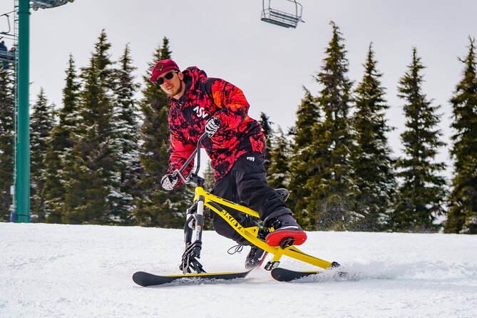 Ski Bike Rental in South Lake Tahoe - Pros and Cons from the Reviews