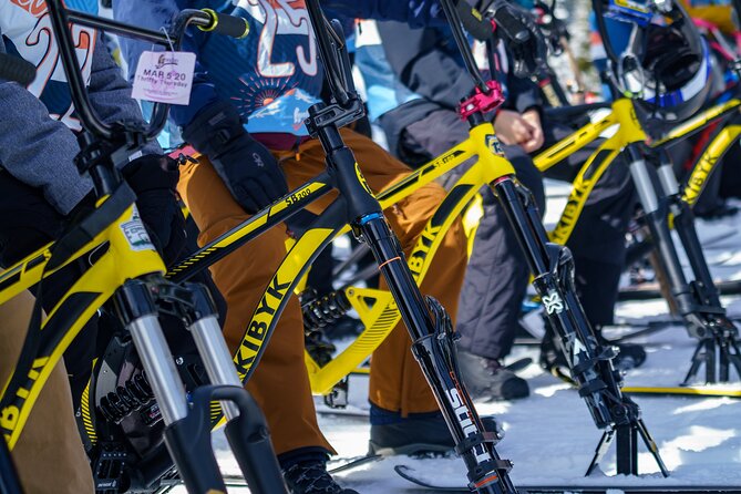 Ski Bike Rental in South Lake Tahoe - Who Should Consider This Experience?