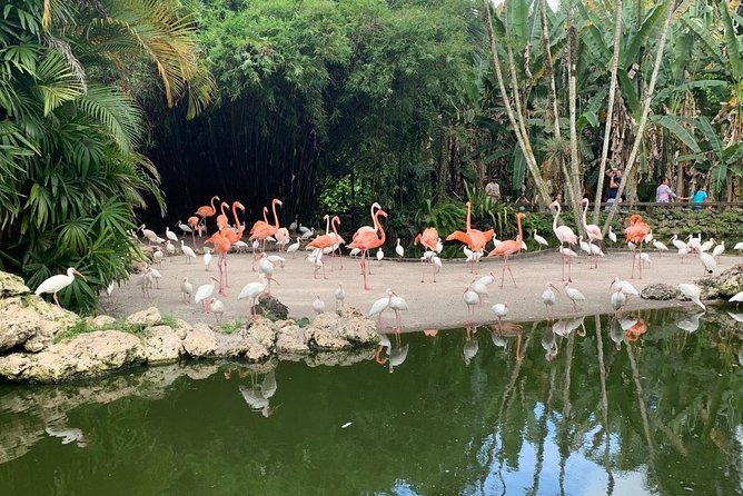 Skip the Line: Flamingo Gardens Admission Ticket in Fort Lauderdale - A Detailed Look at Flamingo Gardens