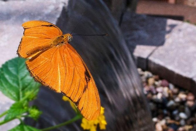 Skip the Line: General Admission to River Bend Nature Center Ticket - Exploring the River Bend Nature Center: A Practical Guide