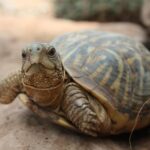 Skip the Line: General Admission to River Bend Nature Center Ticket - Authentic Experiences from Visitors