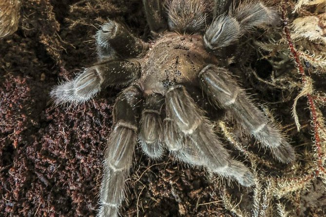 Skip the Line: General Admission to River Bend Nature Center Ticket - Who Will Love This Experience?