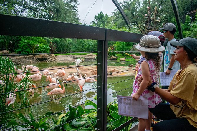 Skip The Line Houston Zoo Admission Ticket - Key Points