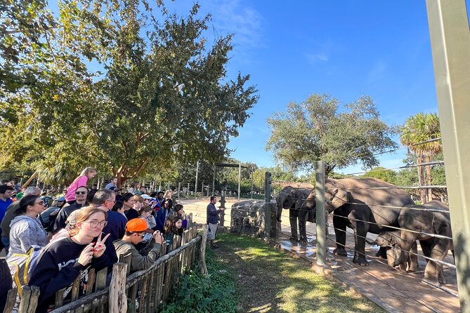 Skip The Line Houston Zoo Admission Ticket - Who Will Love This Experience?