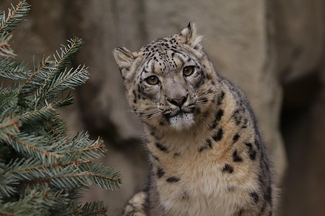 Skip the Line: Miller Park Zoo General Admission Ticket - What to Expect from Your Visit to Miller Park Zoo