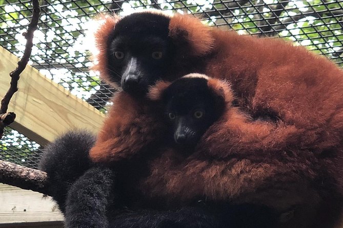 Skip the Line: Miller Park Zoo General Admission Ticket - Why Miller Park Zoo Offers Good Value