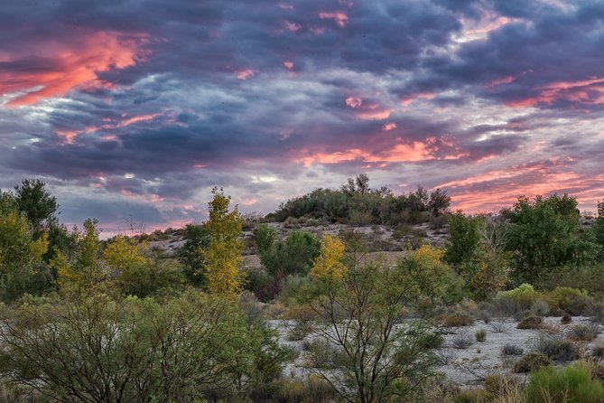 Skip the Line: Springs Preserve in Las Vegas Admission Ticket - Dining and Facilities