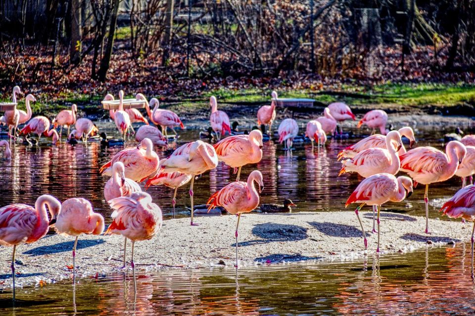 Skip-the-line Tickets to Bronx Zoo with Private Transfers - What to Expect from Your Bronx Zoo Private Tour