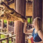 Skip-the-line Tickets to Bronx Zoo with Private Transfers - Why This Tour is a Great Choice