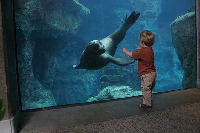 Skip the Ticketing Line: Aquarium of the Pacific General Admission Ticket - FAQ
