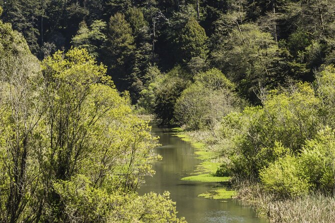 Skunk Train: Pudding Creek Express from Fort Bragg - Practical Tips for Your Trip