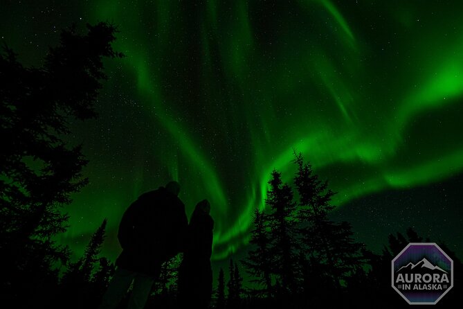 SkyChase Northern Lights Experience - The Experience In-Depth: What It Feels Like