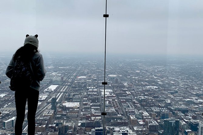 Skydeck Chicago Admission Ticket - Who Will Love This Experience?