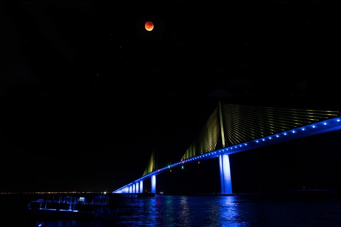 Skyway Light Show Tour Under the Stars - Key Points