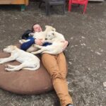 Sled Dog Adventure and Pan for Gold in the Yukon - Practical Details and Tips