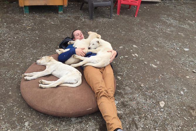 Sled Dog Adventure and Pan for Gold in the Yukon - Practical Details and Tips