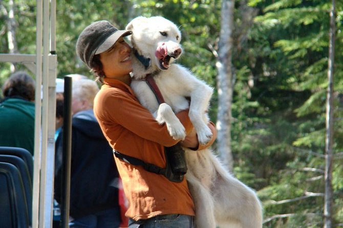 Sled Dog Adventure in Skagway - FAQ
