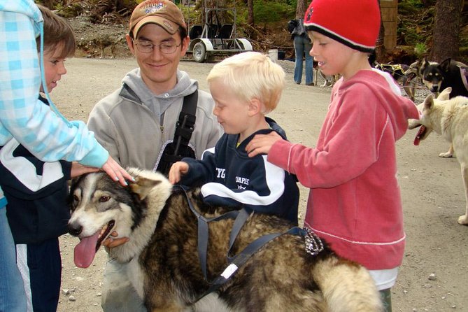 Sled Dog Discovery in Juneau - A Deep Dive into the Sled Dog Discovery Experience