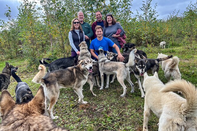 Sled Dog Kennel Tour - Authentic Reviews and Experiences