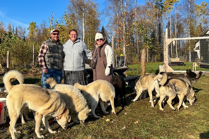 Sled Dog Kennel Tour - Why This Tour Is Worth Considering