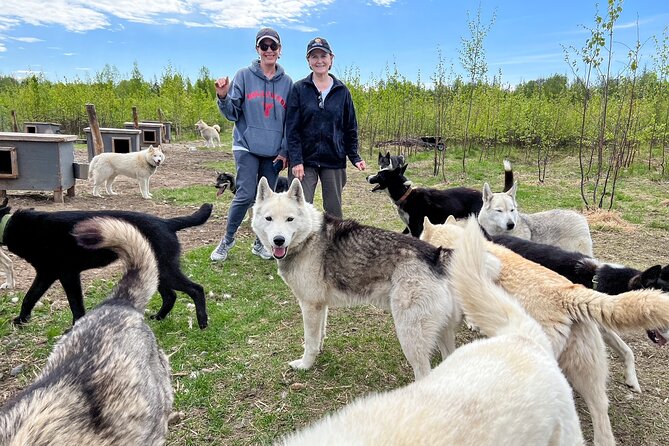 Sled Dog Kennel Tour - Frequently Asked Questions (FAQ)