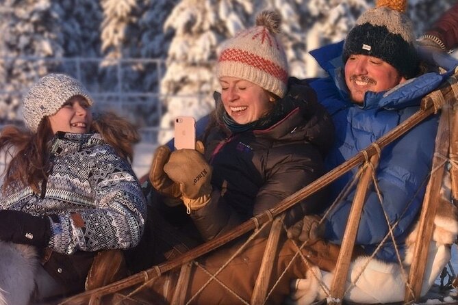 Sled Dog Sampler Ride in Fairbanks - What To Expect: The Ride and Beyond