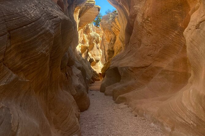 Slot Canyon 2hr tour at Willis Creek - An In-Depth Look at the Willis Creek Slot Canyon Tour