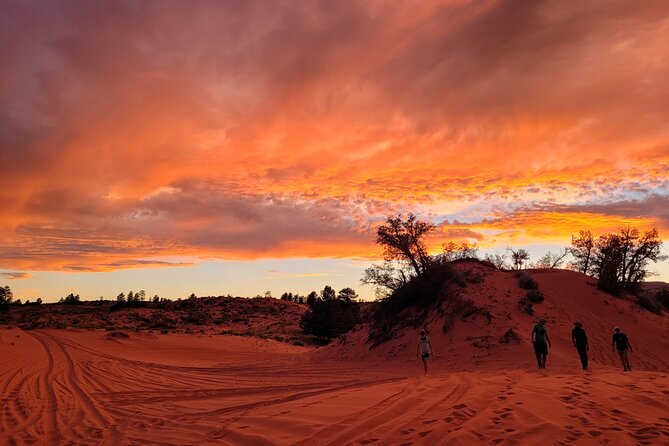 Slot Canyon Tour & Sandboarding UTV Adventure - Is This Tour for You?