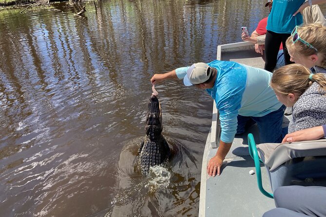 Small Airboat and Oak Alley Plantation Tour from New Orleans - The Highlights of the Tour