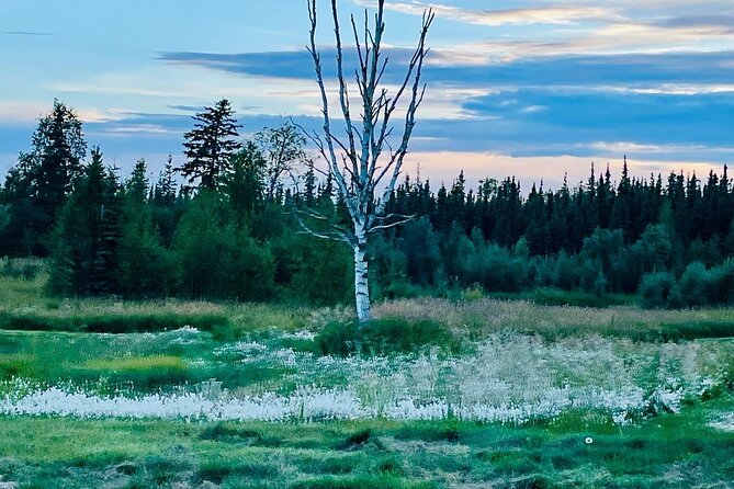 Small Group 18-hole Golf Experience in Fairbanks - Authenticity and Scenic Highlights