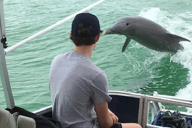 Small Group 2 Hour Dolphin Cruise with Snorkeling to Shell Key - Small Group 2 Hour Dolphin Cruise with Snorkeling to Shell Key