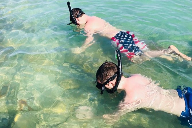 Small Group 2 Hour Dolphin Cruise with Snorkeling to Shell Key - What Makes This Tour a Great Value