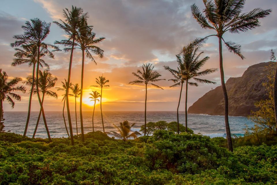 Small Group 3 Hour Honolulu Sunrise Tour with Malasadas - Key Points