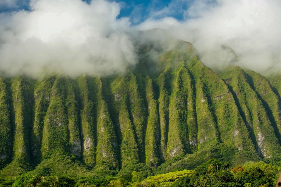 Small Group 3 Hour Honolulu Sunrise Tour with Malasadas - What to Expect from the Experience