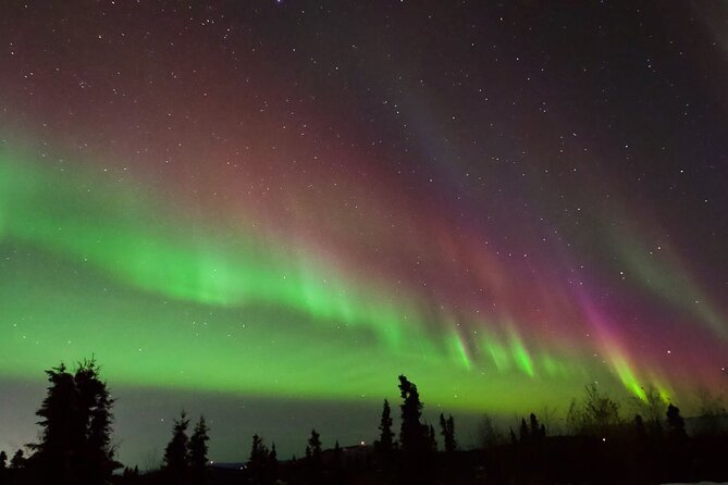 Small Group Aurora Chasing Tour - What the Tour Entails: A Closer Look at the Itinerary